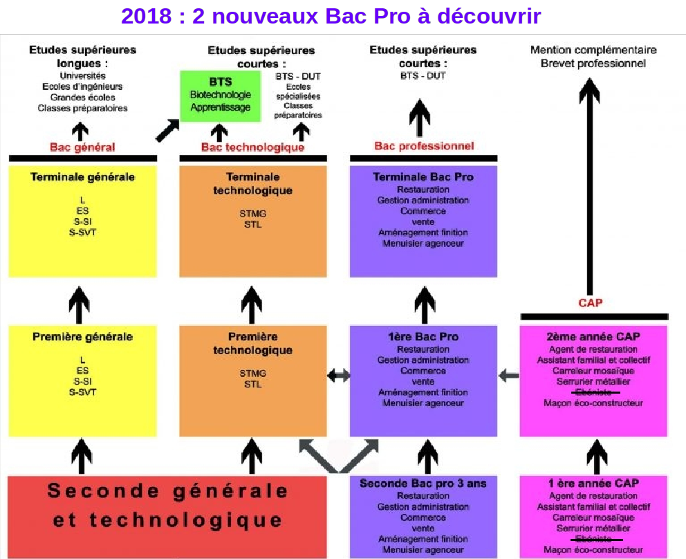 Nos formations – Lycée Lumière