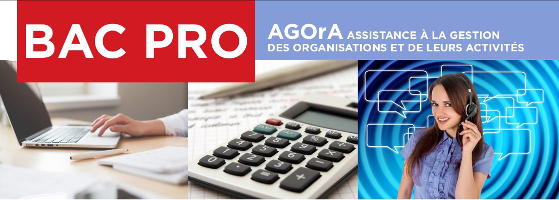 FORMATIONS BAC PRO – Lycée Lumière