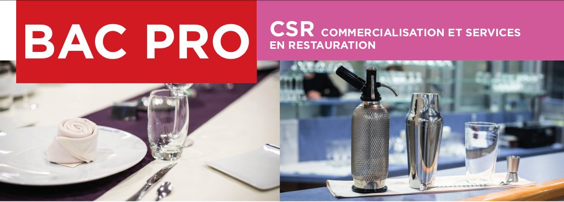 FORMATIONS BAC PRO – Lycée Lumière