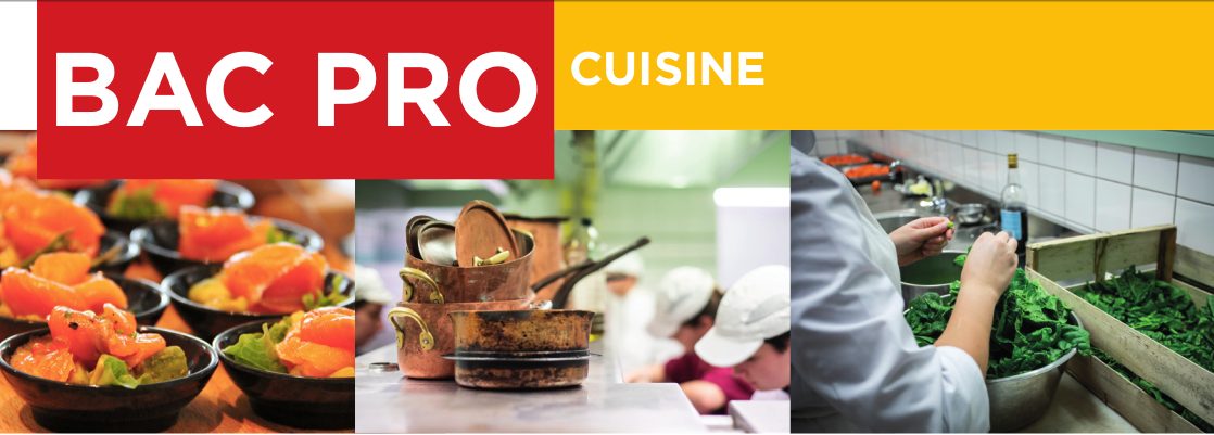 FORMATIONS BAC PRO – Lycée Lumière