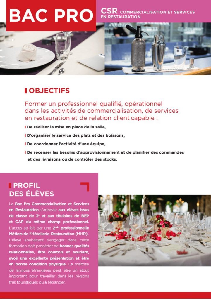 Bac Pro CSR – Lycée Lumière